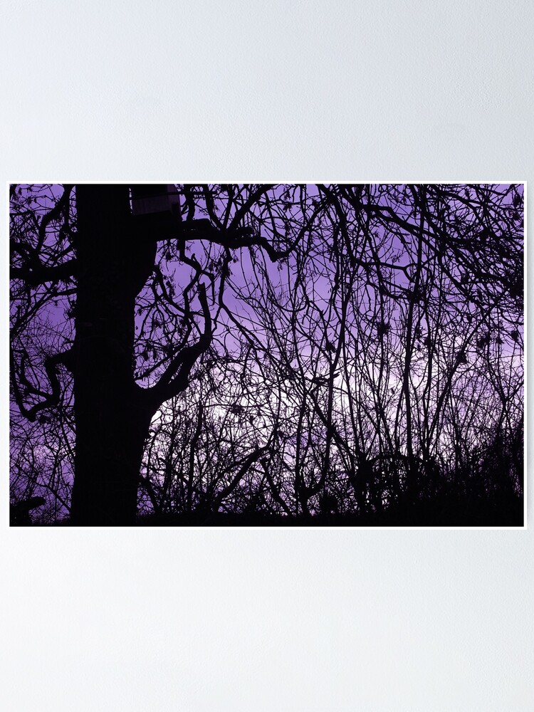 "purple sky and trees photograph" Poster by tilliesphotos | Redbubble