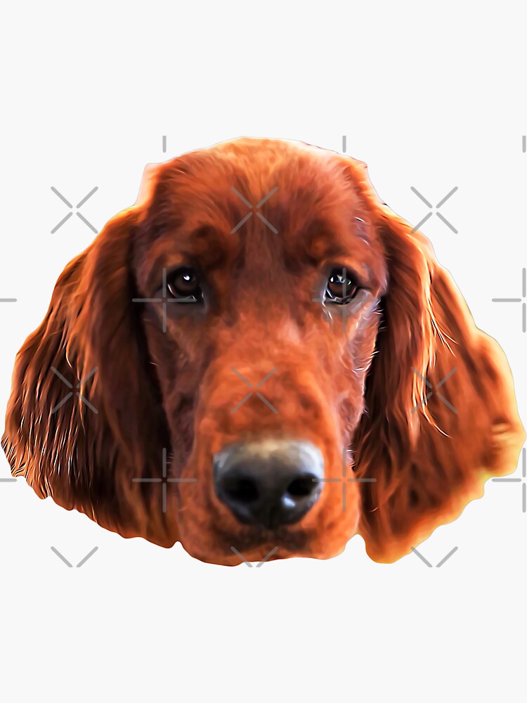 "Irish Setter Dog Cute Face" Sticker for Sale by ElegantCat | Redbubble