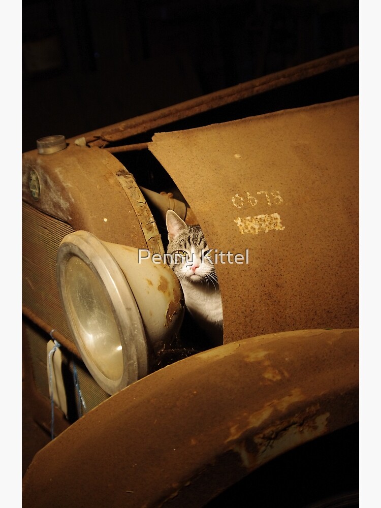 "Mechanic Cat" Art Print for Sale by kurrawinya | Redbubble