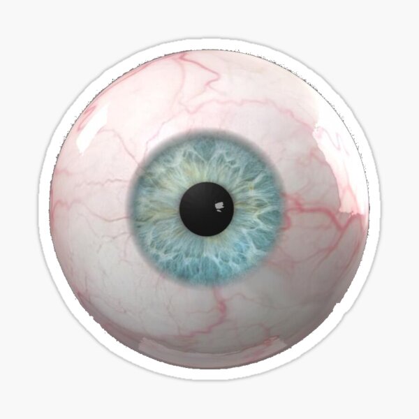 "Human eyeball" Sticker for Sale by Acika1 | Redbubble