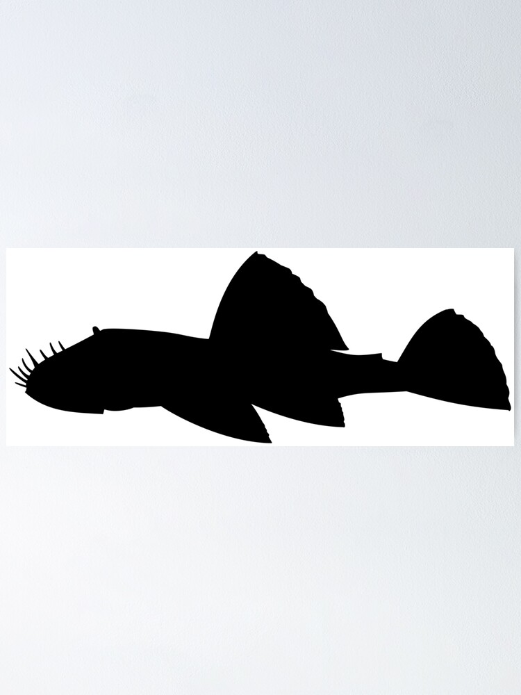 "Bristlenose Pleco Silhouette" Poster for Sale by rebeldubb | Redbubble