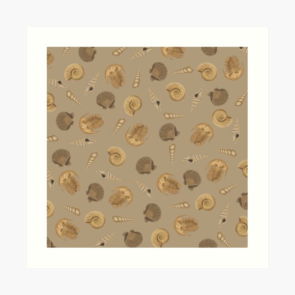 "Cute Fossil Pattern " Art Print by Xilie | Redbubble