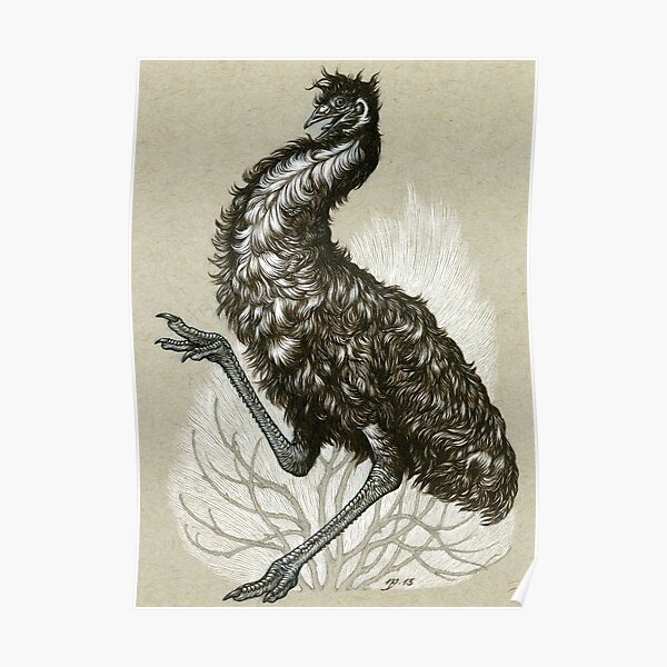 "Emu Dance" Poster by Himmapaan | Redbubble