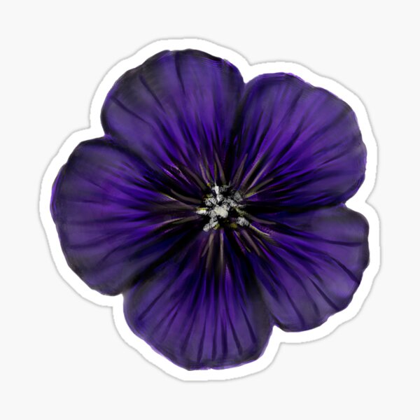 "Violet flower blossom realistic" Sticker for Sale by PeppaThePenguin ...