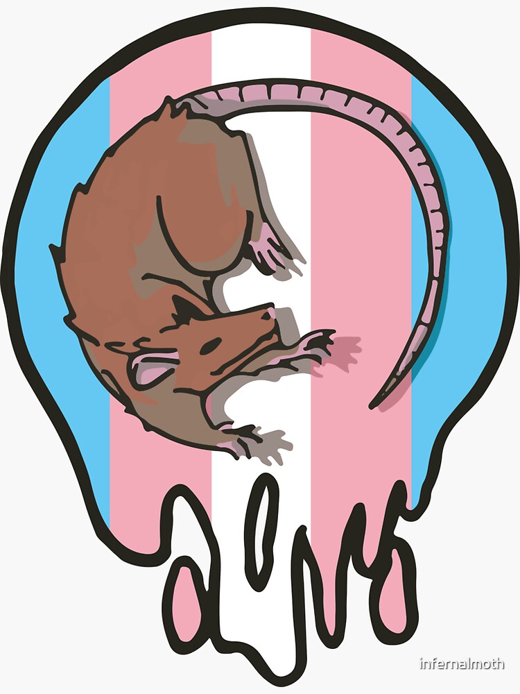 "Trans Slime Rat" Sticker for Sale by infernalmoth | Redbubble
