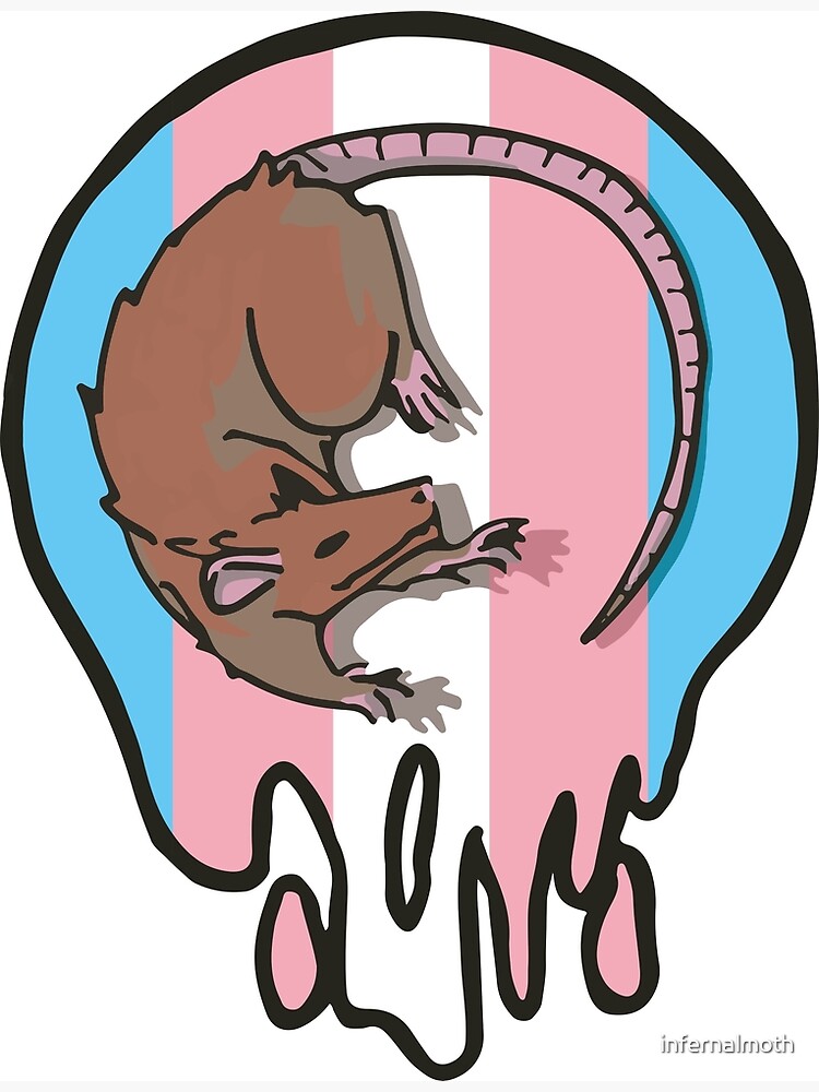 "Trans Slime Rat" Art Print by infernalmoth | Redbubble