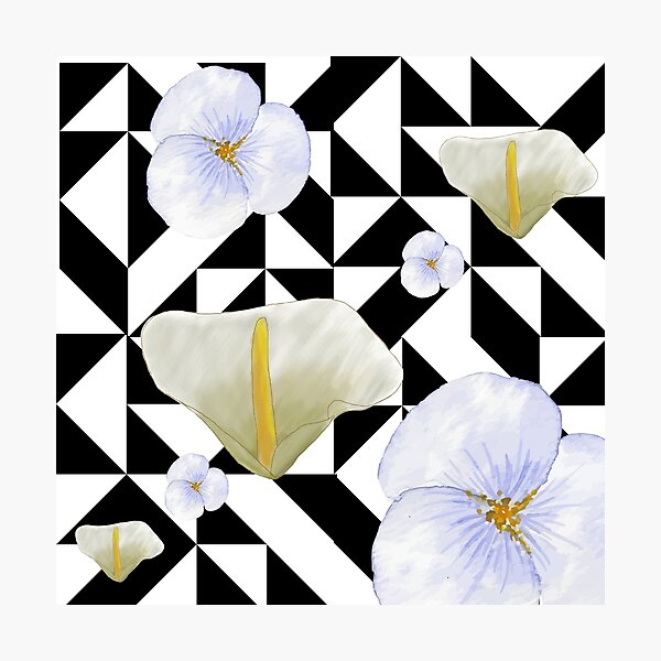 Lámina fotográfica «Flores con un atrevido telón de fondo blanco y ...