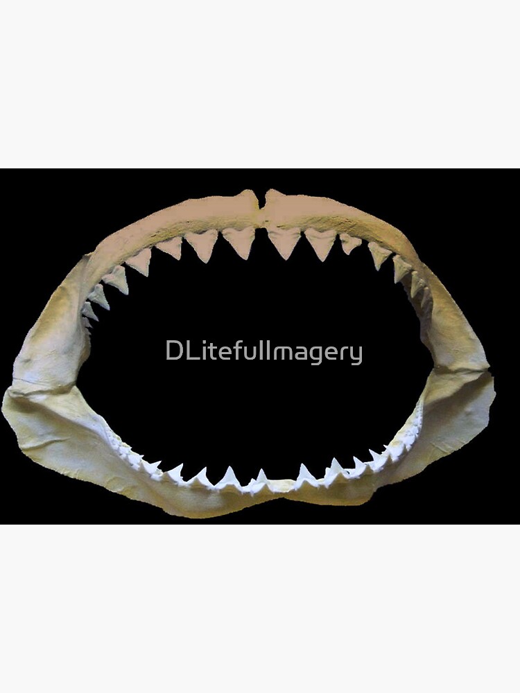"Megalodon Mouth 3" Sticker for Sale by DLitefulImagery | Redbubble