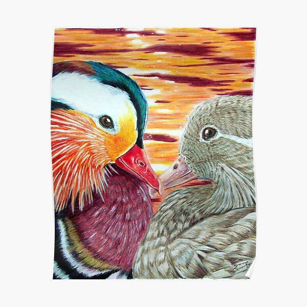 "Mandarin Ducks in Love" Poster for Sale by ShannonClements | Redbubble