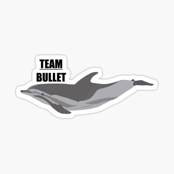 Seaworld Merch & Gifts for Sale | Redbubble