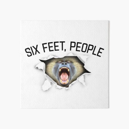 "Monkey snarl - six feet people animals face tear torn social distance ...