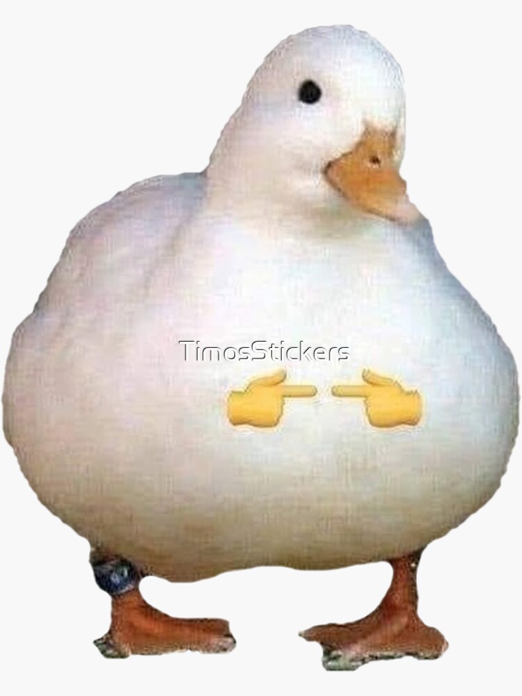 Pegatina «LINDO PATO MEME» de TimosStickers | Redbubble