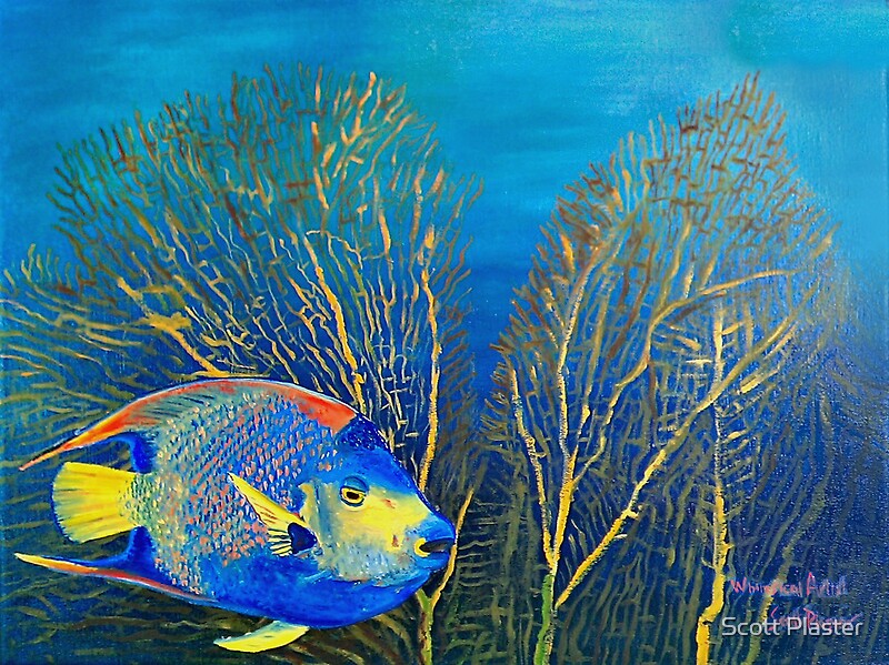 "Queenie - Ocean Series Tropical Fish" by Scott Plaster | Redbubble