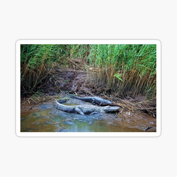 "Charlie And Charlene" Sticker by Cynthia48 | Redbubble