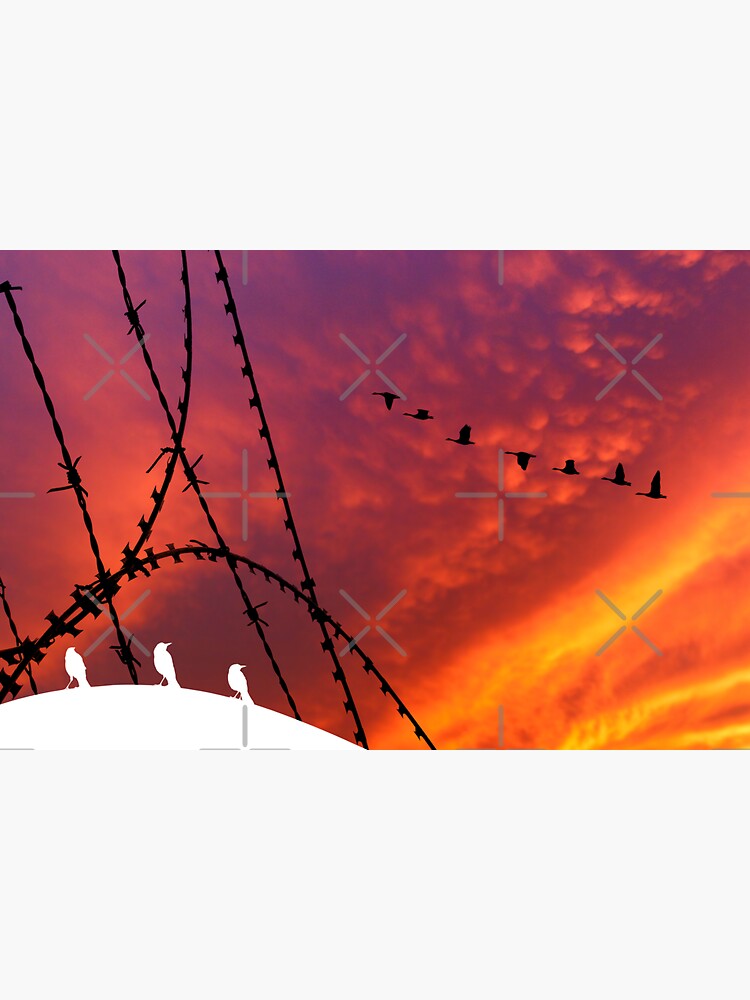 "Papers, please!" Sticker for Sale by Alex Preiss | Redbubble