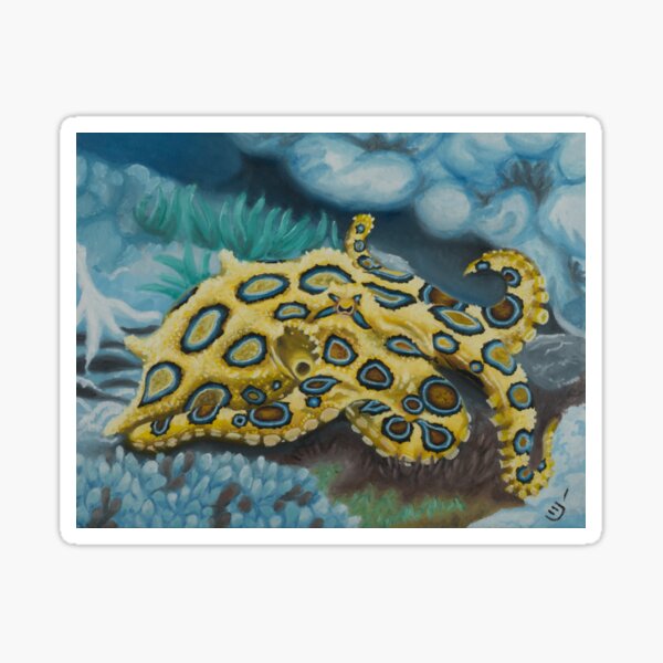 "Blue Ringed Octopus" Sticker for Sale by cturnerart | Redbubble