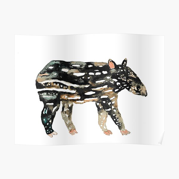 "Baby Malayan Tapir Watercolour " Poster for Sale by laurengeorgiart ...