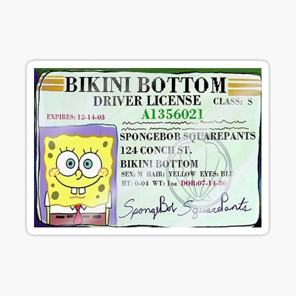 "Spongebob license " Sticker for Sale by mcateercp | Redbubble