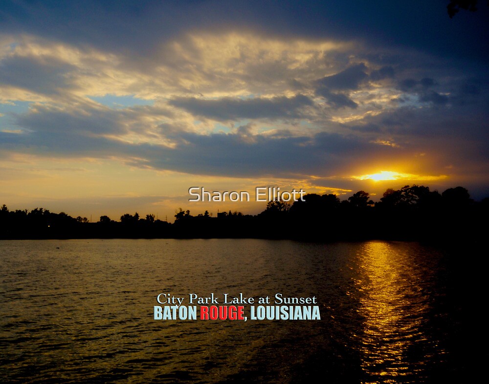 "City Park Lake, Baton Rouge-Poster" by Sharon Elliott | Redbubble