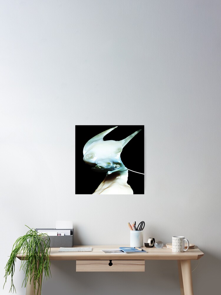 "Arca Xen (????? Edition) " Poster for Sale by Geminiserre | Redbubble