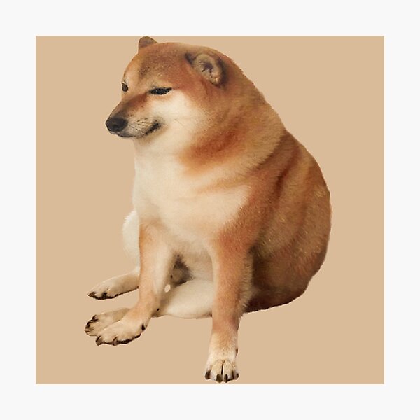 Lámina fotográfica «Cheems (perro sentado meme)» de parkerku | Redbubble