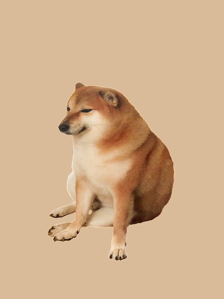 "Cheems (dog sitting meme)" Mini Skirt by parkerku | Redbubble