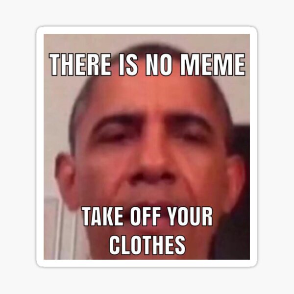 "there is no meme" Sticker for Sale by stickersbytay | Redbubble
