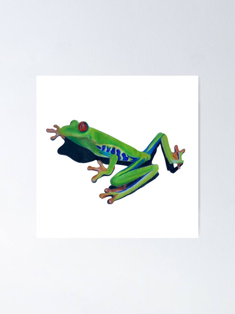"3D Frog Drawing" Poster by lindseydesigns | Redbubble
