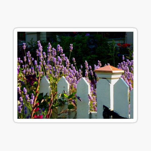 "Fragrant Hospitality" Sticker for Sale by elainebawden | Redbubble