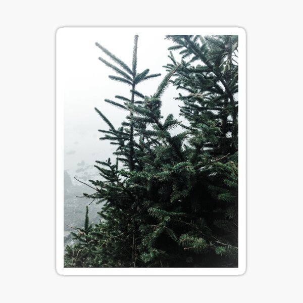 "Northwood Pines" Sticker for Sale by kantoz | Redbubble