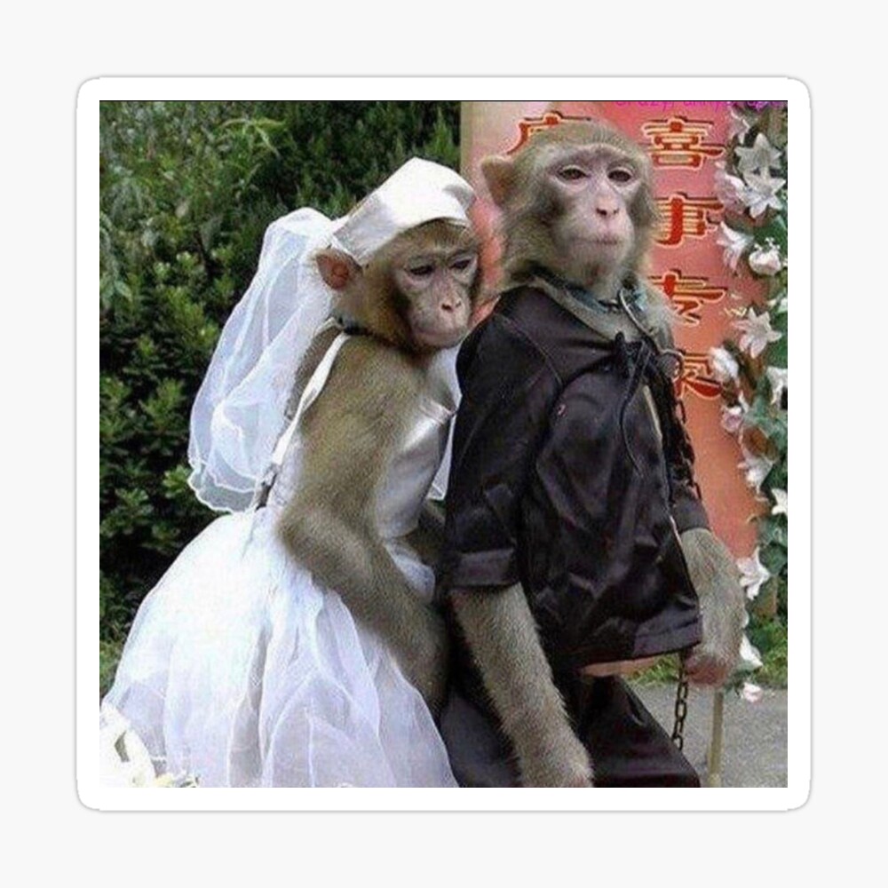 Monkey wedding dress 60 photos - Astyledwedding.com