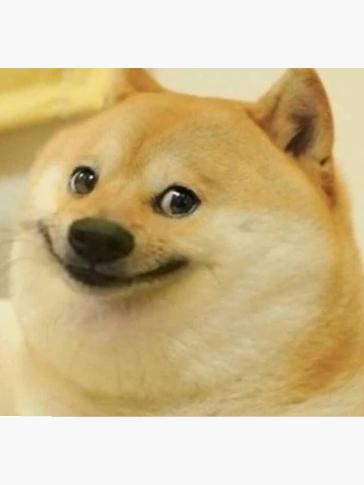 "smiling doge meme" Magnet for Sale by Golumtoll | Redbubble
