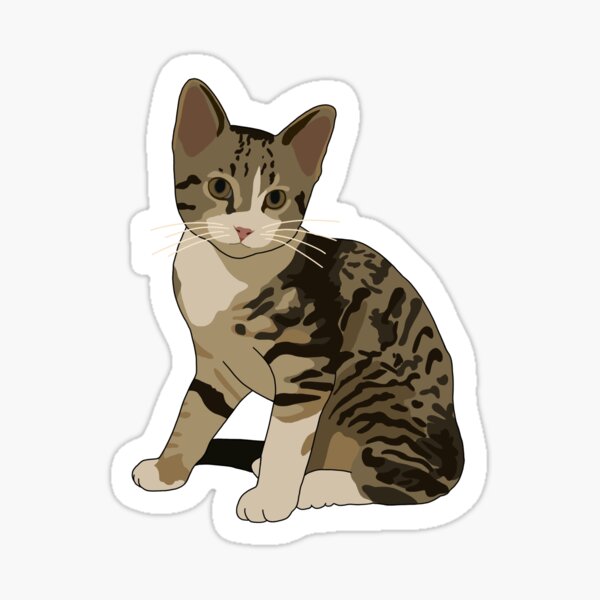 "Little Bean Kitten" Sticker for Sale by little-beans | Redbubble