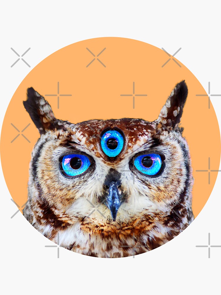 "Owl Bird Third Eye Surreal Art Animal Pop Art" Sticker by Bicorbcore ...