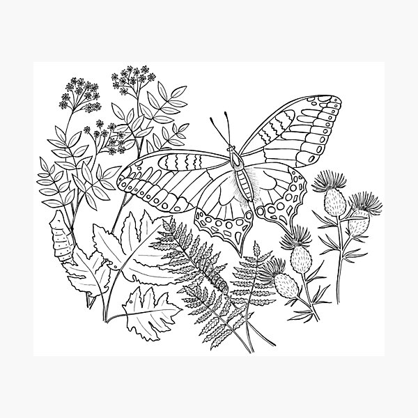 Lámina fotográfica « Los jardineros y las personas que disfrutan de las ...