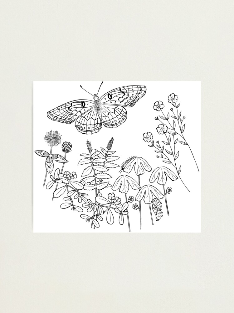 Lámina fotográfica « Los jardineros y las personas que disfrutan de las ...