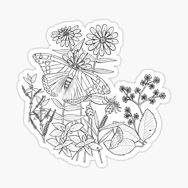 "Red Admiral Butterfly Lineart" Sticker by jenniferruch2 | Redbubble