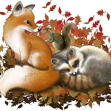 "Fox raccoon and squirrel, forest animals" Photographic Print by Jaime ...