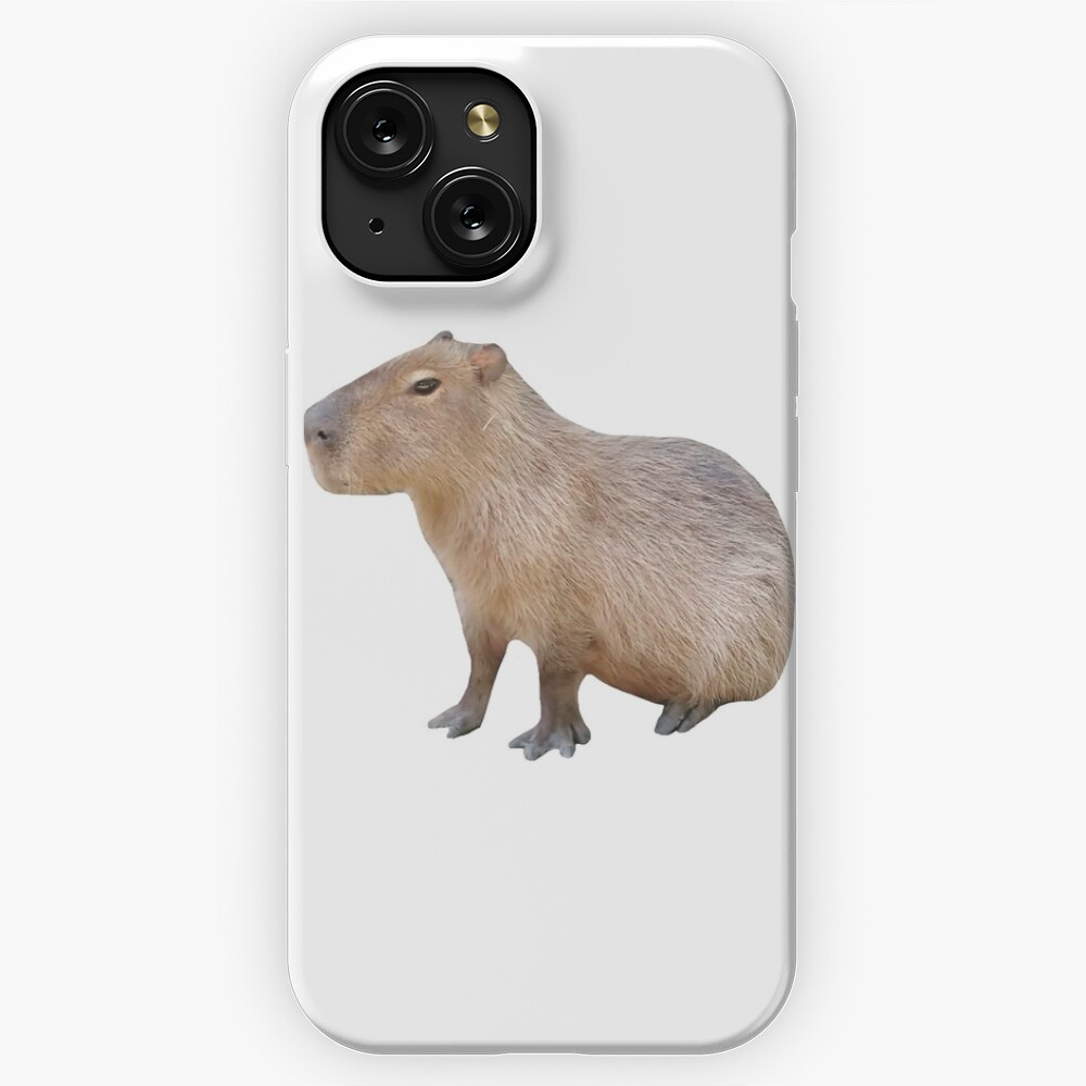 "Sitting Capybara" Sticker for Sale by Mino Shop | Redbubble