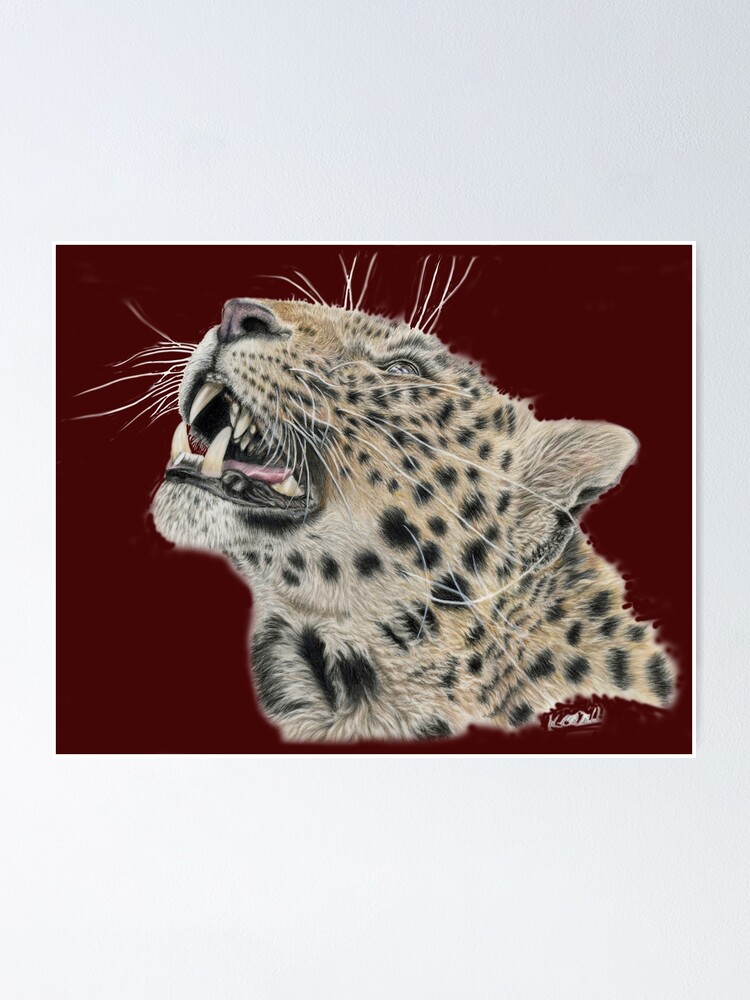 "Amur Leopard" Poster for Sale by oneillanimalart | Redbubble