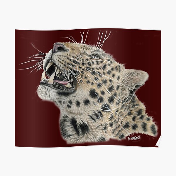 "Amur Leopard" Poster for Sale by oneillanimalart | Redbubble