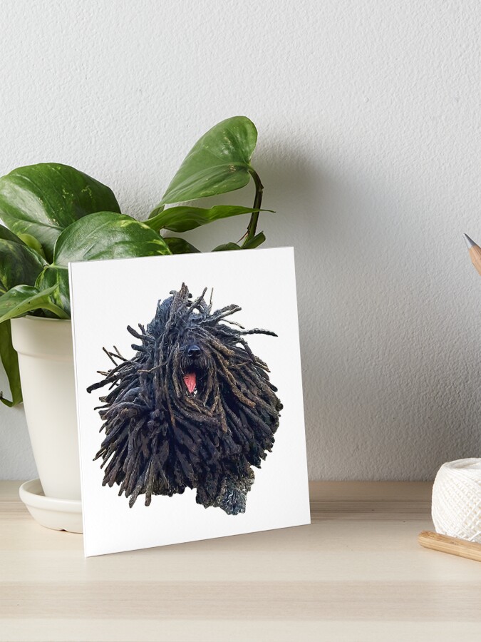"Hungarian Puli Puppy Dog Dreadlocks" Art Board Print for Sale by ...