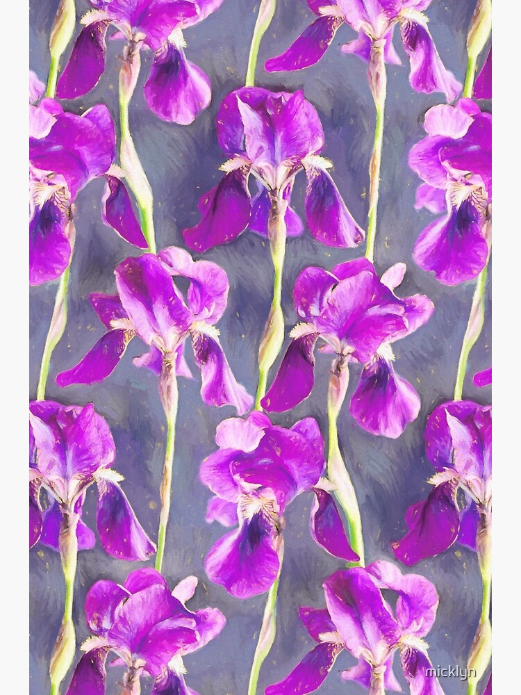 "Simple Iris Pattern in Warm Magenta" Poster by micklyn | Redbubble