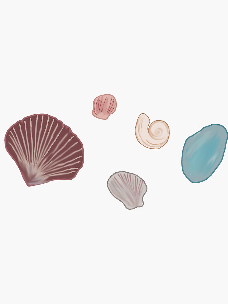 "aesthetic seashells pack" Sticker by aishuart | Redbubble