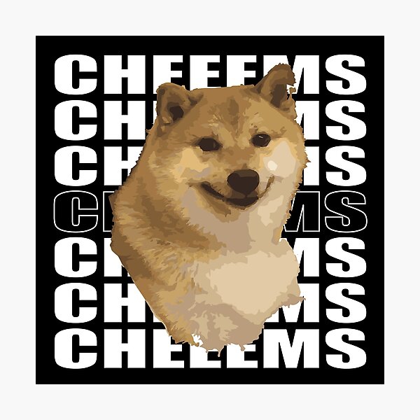 "cheems cheems cheems dog" Photographic Print for Sale by violetcho ...