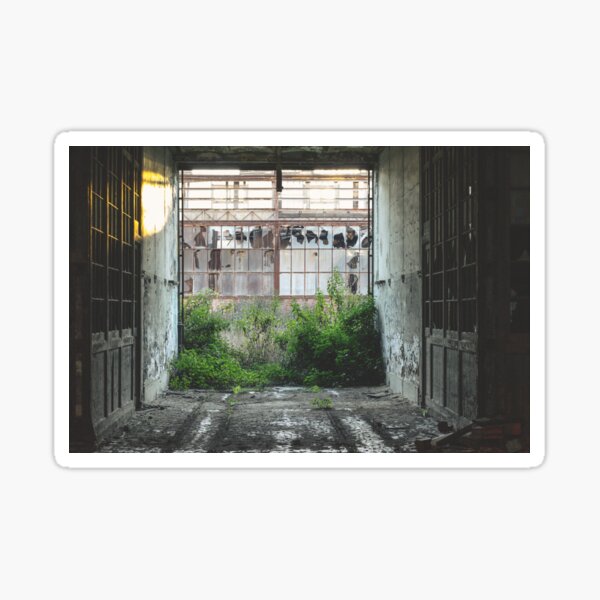 "Decay" Sticker for Sale by CarlaSophia | Redbubble