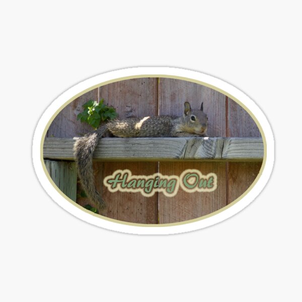 "Hanging Out" Sticker for Sale by CarolM | Redbubble
