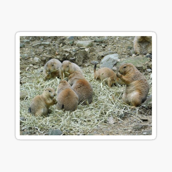 "Feast of Hay" Sticker by Izayo-Darke1 | Redbubble