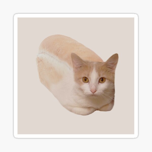 Bread Loaf Cat Stickers | Redbubble