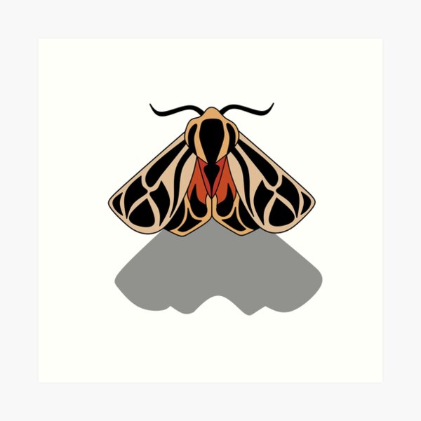 "Tribal Tiger Moth" Art Print by grounds | Redbubble